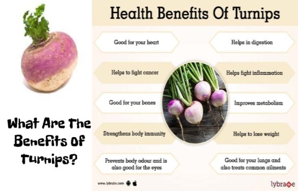 Turnip - Nutrition Of Turnip And Its Greens, Benefits Of Turnip
